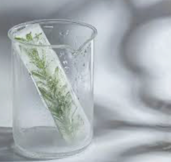 Drinks Plinks Confetti – South Village Trading